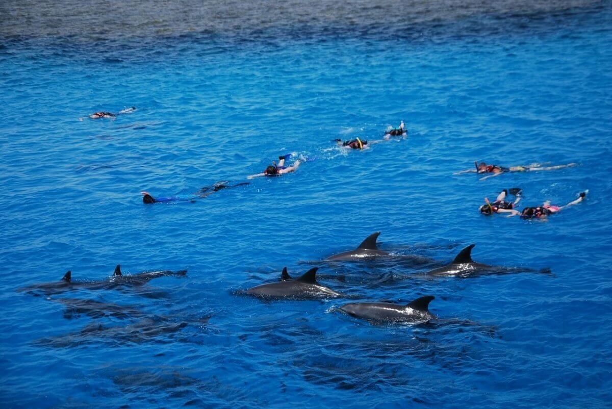 Optimist Divers - Diving Center In Hurghada