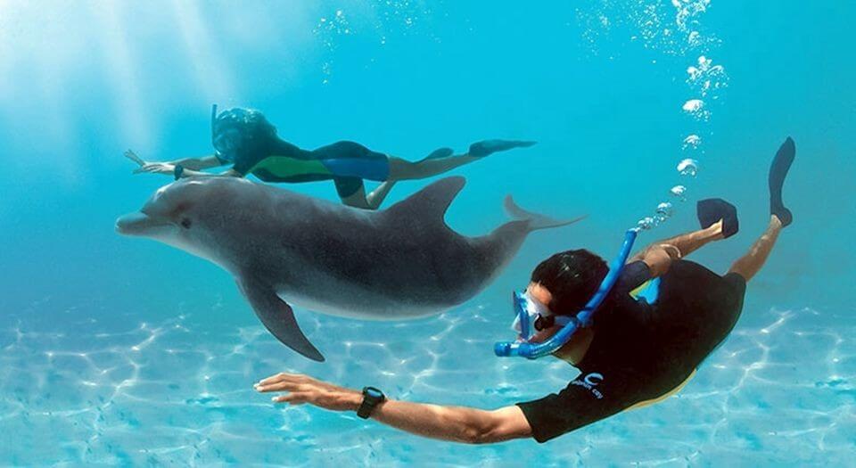 Optimist Divers - Diving Center In Hurghada